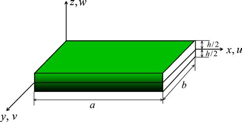 Geometry And Coordinates Of A Functionally Graded Micro Plate