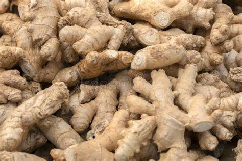 Close Up A Bunch Of Gingers At Amsterdam The Netherlands 6 10 2022