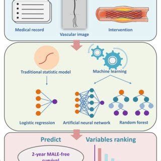 A Brief Summary Of Study Design And Machine Learning Model Download Scientific Diagram