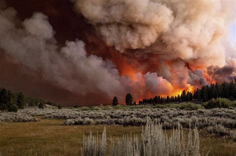 Beckwourth Complex Fire Doubles Size In 24 Hours