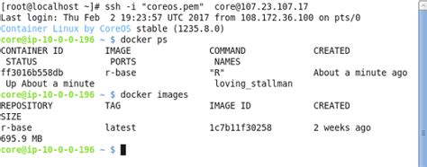 using r with docker engine codeguru
