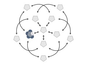 Embryo Morphogenesis (pattern discovery) | MathPickle