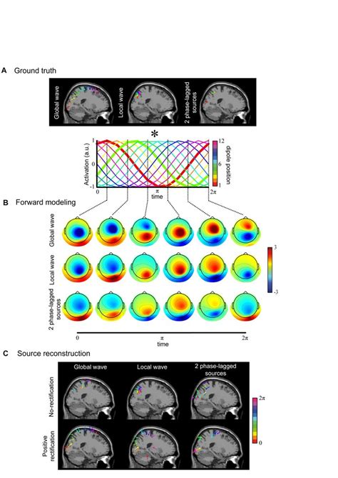 Equivalent Current Dipole Ecd Source Reconstruction On Simulated Download Scientific Diagram