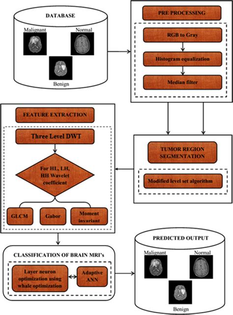 Schematic Diagram Of The Proposed Method For Mri Brain Tumor