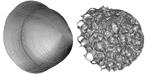 Figure 3 From A Numerical Voxel Model For 3d Printed Uncompressed Breast Phantoms Semantic Scholar