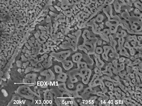 Dendritic Structure Of The Copper Basalt Composite Transition Between Download Scientific