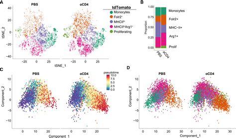 Tumor Specific Cd4 T Cells Instruct Monocyte Fate In Pancreatic Ductal Adenocarcinoma Cell Reports