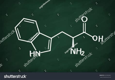 Structural Model Tryptophan On Blackboard Stock Illustration Shutterstock