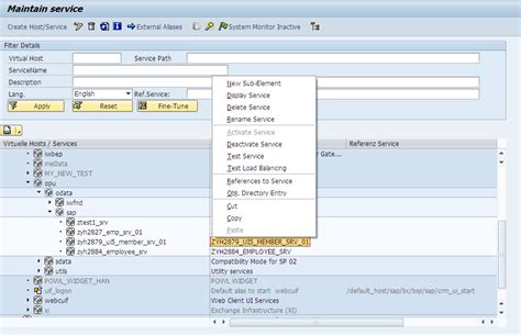 Service Can Not Be Reached Sap Netweaver Gateway Sap Community