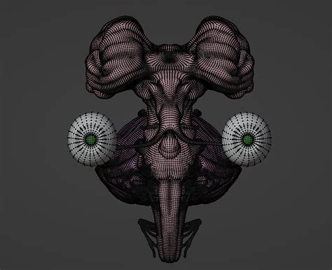 3d Model Of Brain Stem And Cranial Nerves By Azekapeka