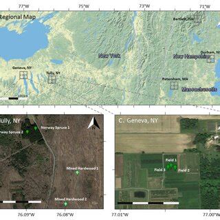 Inset A Depicts A Regional Map Of The Sites Measured In This Study Download Scientific Diagram