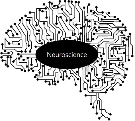 neuroscience 0 재현이가 만들어보는 블로그