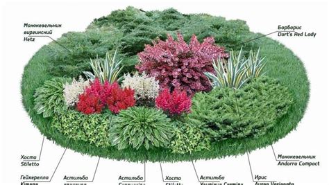 Хвойники в ландшафтном дизайне 10 самых красивых проектов которые можно повторить Flower