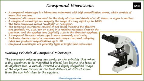 Types Of Microscopes With Their Applications
