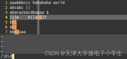 VIM奇技淫巧 VIM GVIM中的正则匹配 vim 匹配 CSDN博客