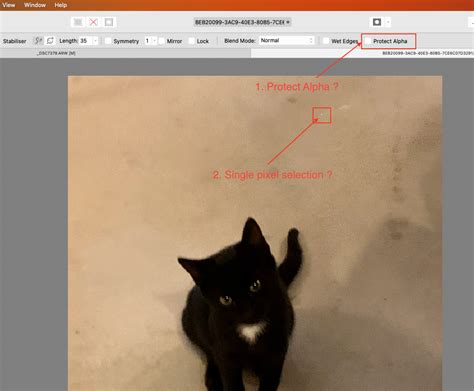 V Some Tools Don T Work Proper Or Not At All V Bugs Found On MacOS Affinity Forum