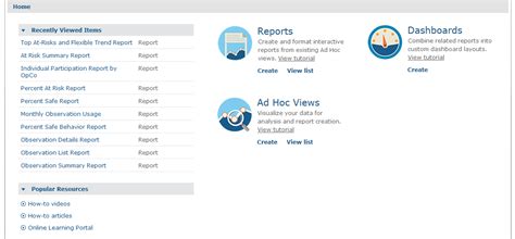 How To Remove Home Page Filters Options In Jasper Server Pro