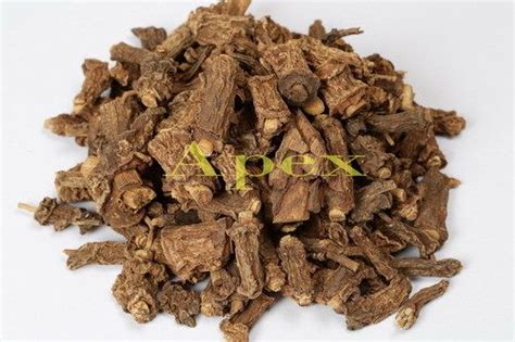 Hemidesmus Indicus Root At Best Price In Jaipur Rajasthan Apex International