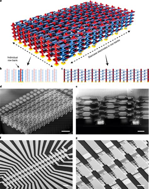 3d Monolithic Integrated Memristor Circuits A Schematic Of The 3d