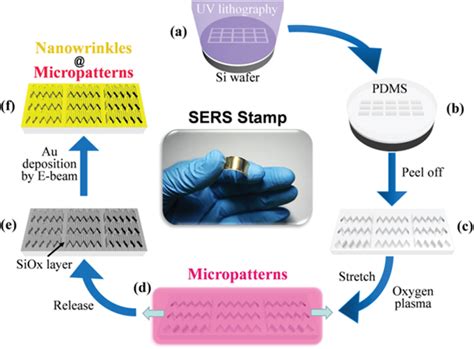 Schematic Of The Flexible Sers Substrate Prepared With Pattern Download Scientific Diagram