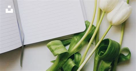 괘 종이 시트 옆에 흰 꽃 사진 Unsplash의 무료 플랫 레이 이미지