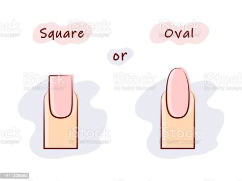 손톱 모양 사각형 또는 타원형 혜택 벡터 일러스트 레이 션 교육에 대한 스톡 벡터 아트 및 기타 이미지 교육 닦기