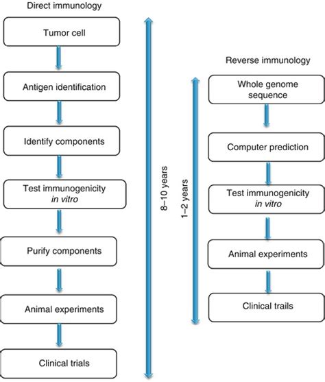 Tumor Antigen And Epitope Identification For Preclinical And Clinical