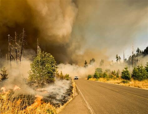 How Wildfires Spread | RainViewer Blog