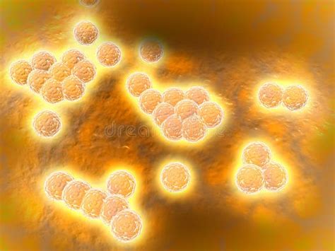Microscopic View Of Methicillin Resistant Staphylococcus Aureus Stock Illustration