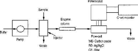 Figure 1 From Flow Injection Amperometric Enzyme Biosensor For Direct Determination Of