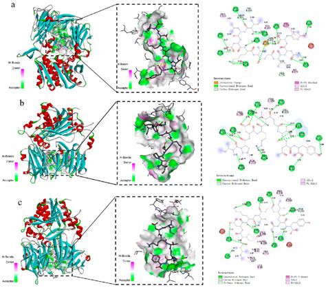Molecular Docking Diagrams Of Peptide Segments With The Dpp Iv Enzyme