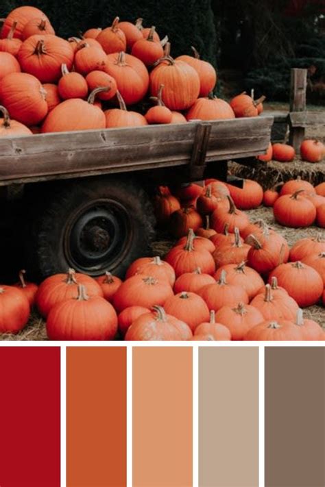 Fall Colors Palette Ideas Fall Color Palette Pumpkin Orange Fall Colors
