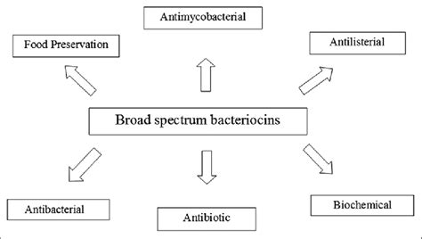 Major activity profile of broad-spectrum bacteriocins | Download Scientific Diagram