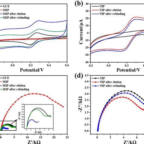 sem image of a bare gce b arg mip gce and c ftir image of arg mip and