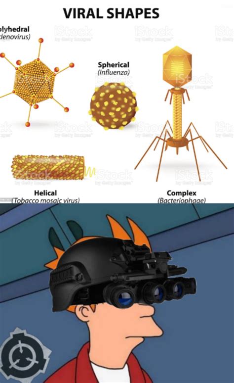 Science Just Got Interesting Rscp