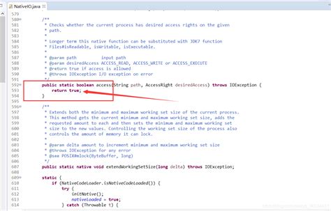 nativeio nativeio windows access0 ljava lang