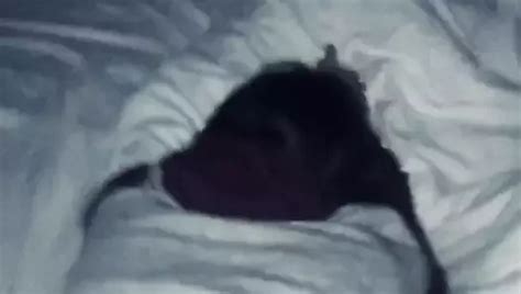 Free Best Full Length Russian Party Porn Videos XHamster