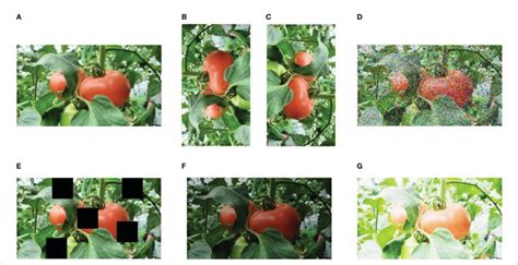 Some Examples Of Image Augmentation Operations A Original Image B