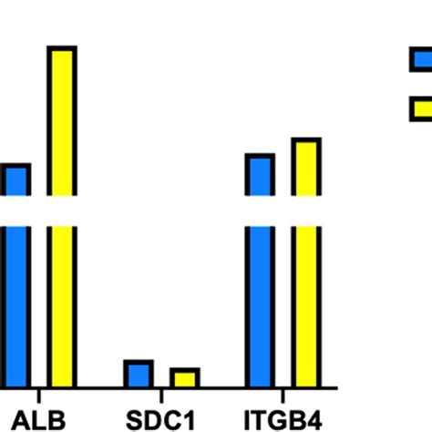 Prm Validation Of Protein The Expression Of Ct Lcg And Ft Lcg Was