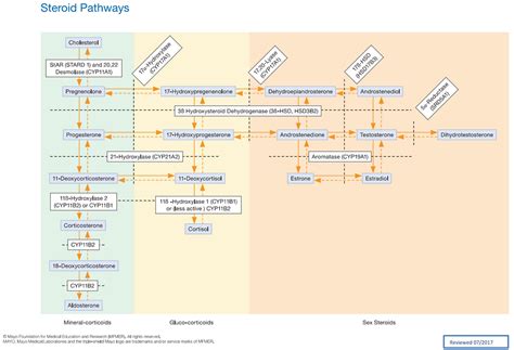Análisis De La Hormona Dihidrotestosterona Dth En Suero