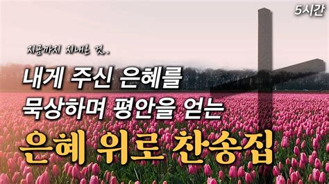 [3시간] 지금까지 내게 주신 은혜를 묵상하며 평안을 얻는 은혜 위로 찬송집 Hymns🙏🏻 중간광고 없음 찬송가 연속 듣기 은혜찬송 위로찬송 매일찬송 Qt