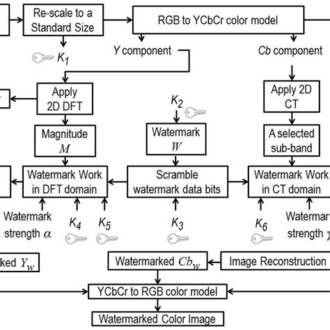 Flowchart Of Watermark Detection Procedure Download Scientific Diagram