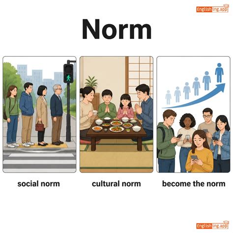 Norm Meaning Definition And Pronunciation Nɔːrm Englishingapp