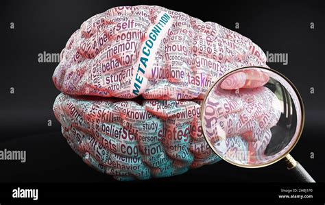 Metacognition In Human Brain A Concept Showing Hundreds Of Crucial Words Related To