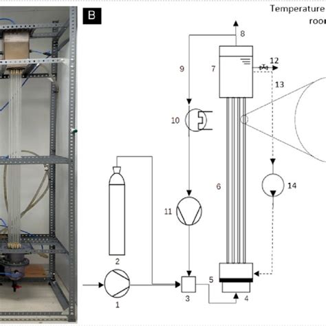 Photograph A And Sketch B Of The Innovative Taylor Flow Bioreactor Download Scientific