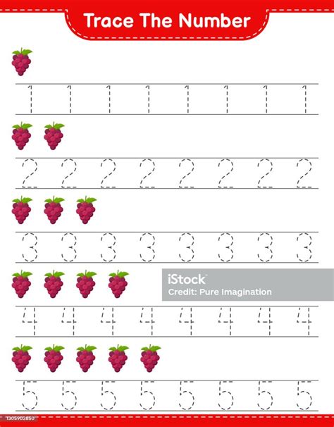 숫자를 추적합니다 포도로 추적 번호 교육 어린이 게임 인쇄 워크 시트 벡터 일러스트레이션 0명에 대한 스톡 벡터 아트 및 기타