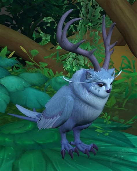 Watchful Somnowl Npc World Of Warcraft