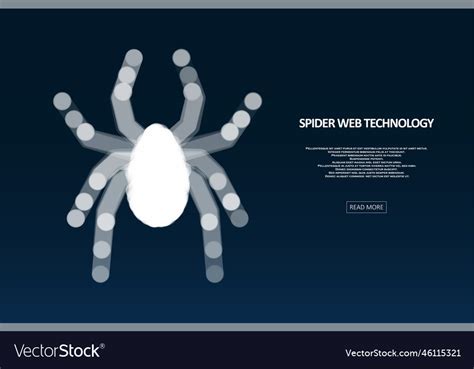 Spider Hacker Attack Danger Royalty Free Vector Image