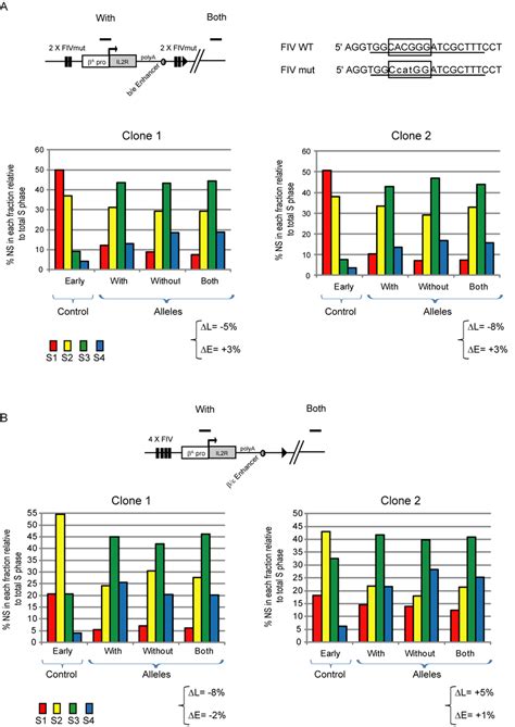 Mutation Of Usf Elements Abolishes Replication Timing Download