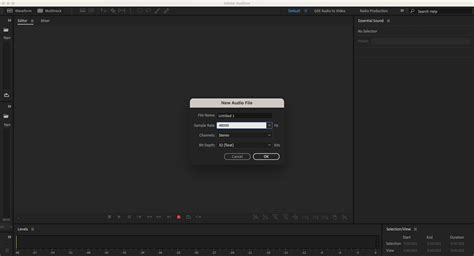 How To Edit Your Podcast In Adobe Audition A Complete Guide